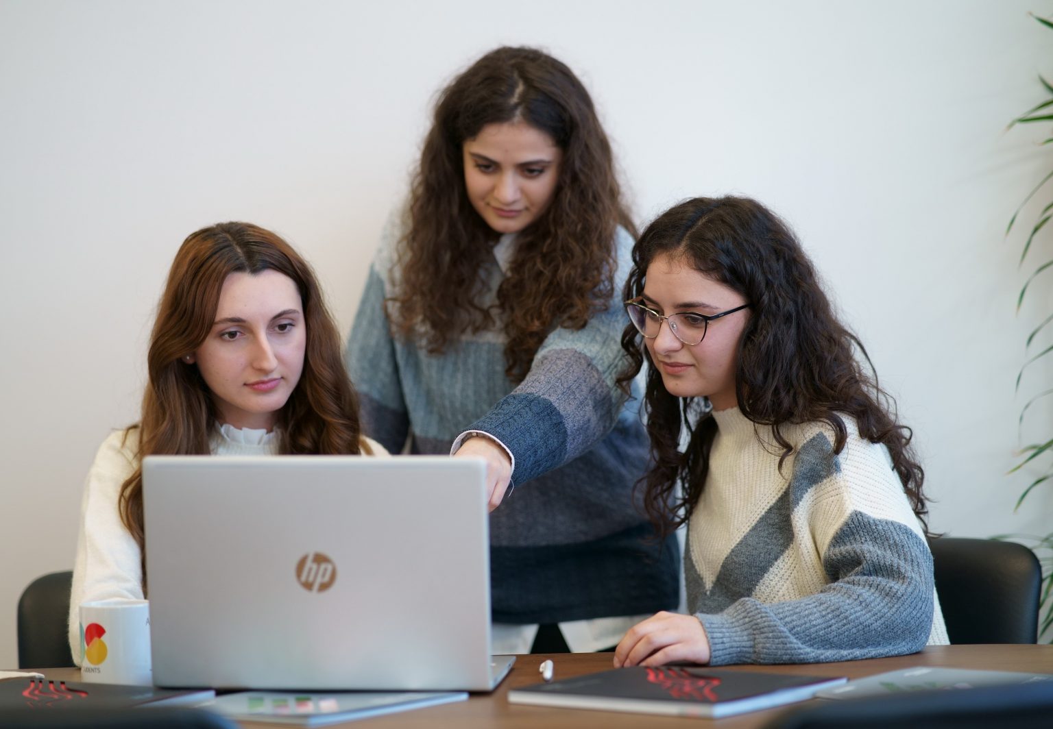 Internship and Employment at BALFIN Group, over 700 applications in the ...